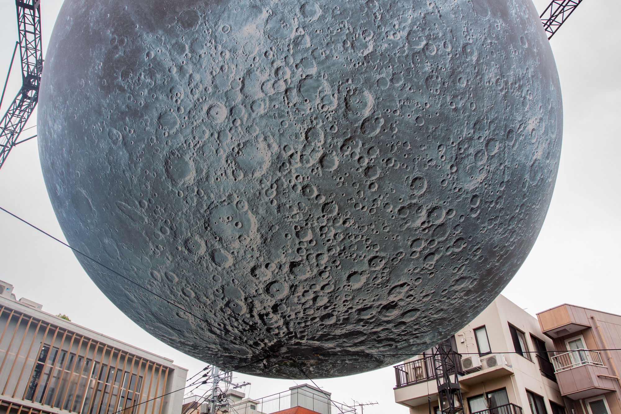 wolves crying at the giant moon – made in tokyo